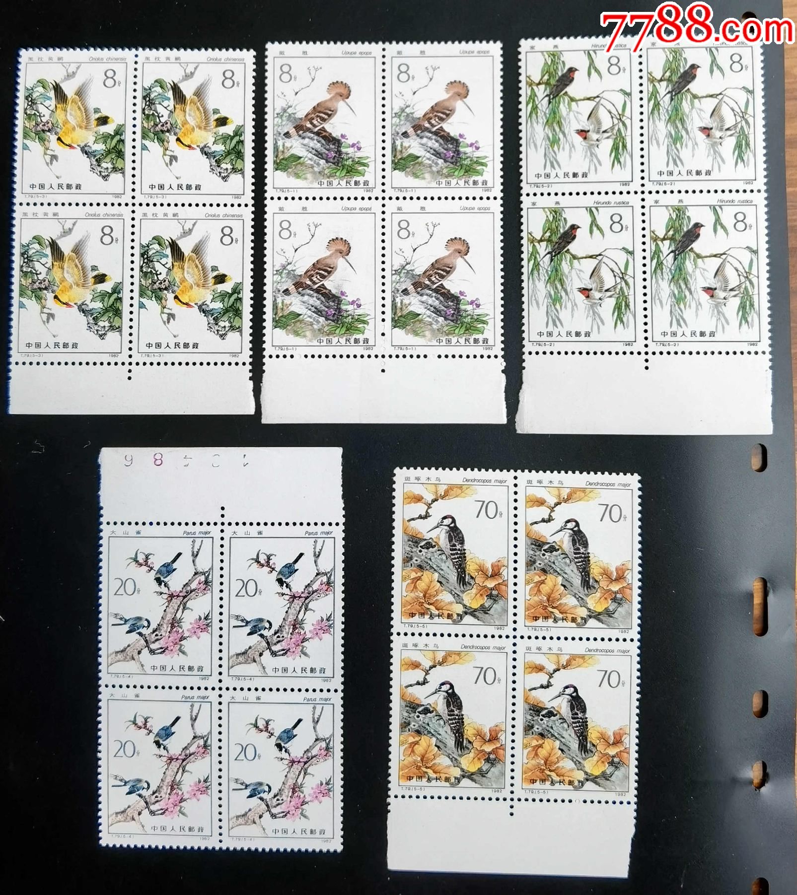 T79益鸟新全套4方联。（带边）少见_“T”字邮票_叠彩山【7788收藏__收藏热线】