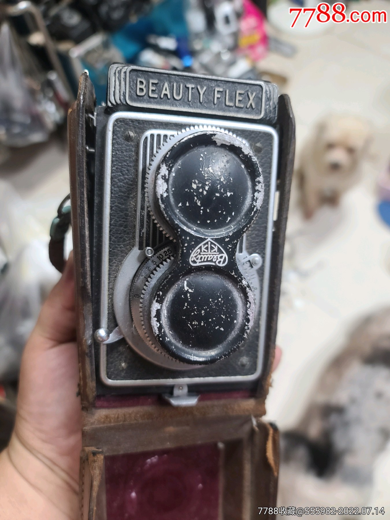 beautyflex__【7788收藏__收藏热线】