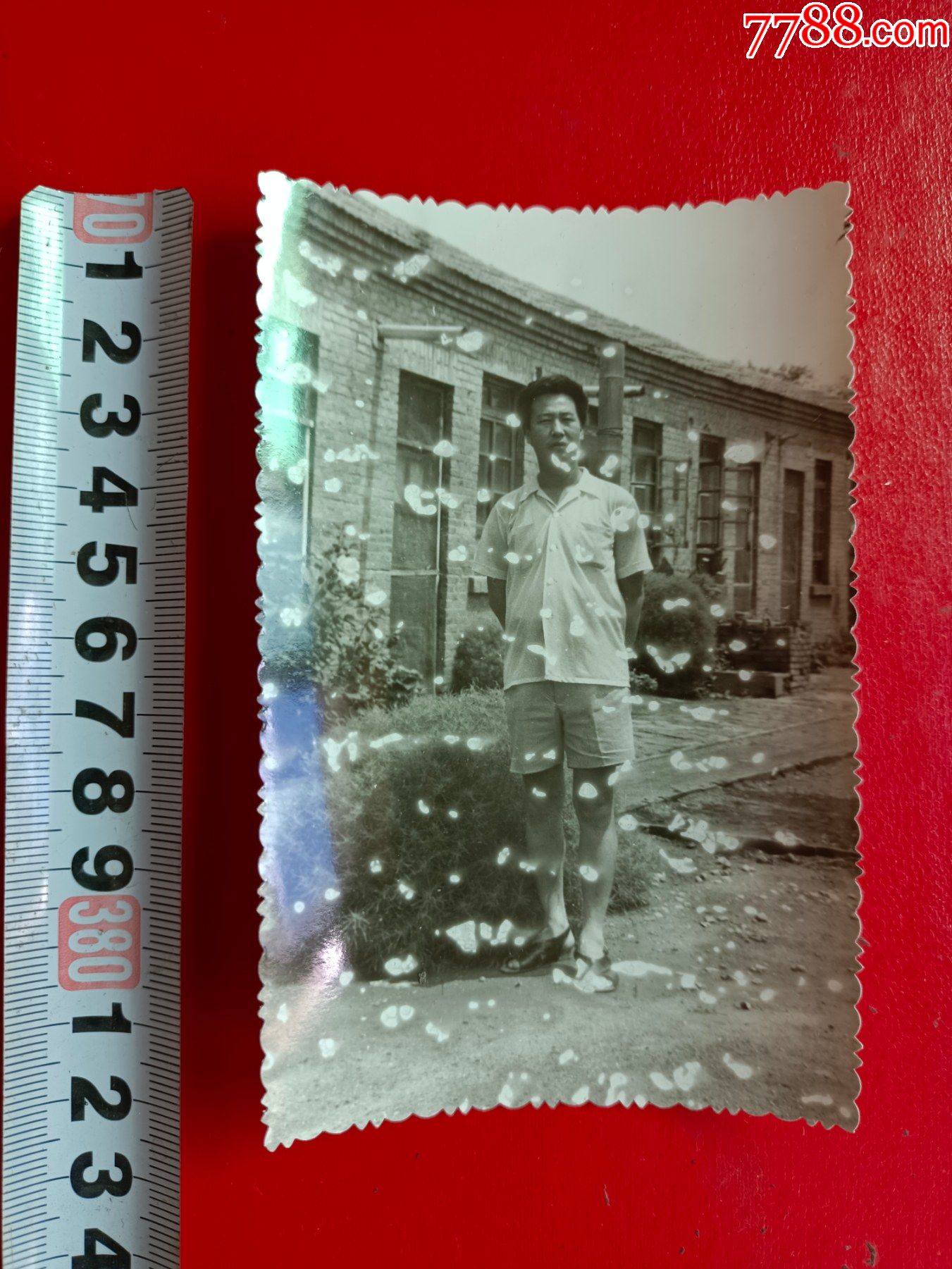 花落知多少-价格:2元-au31059580-老照片 -加价-7788收藏__收藏热线