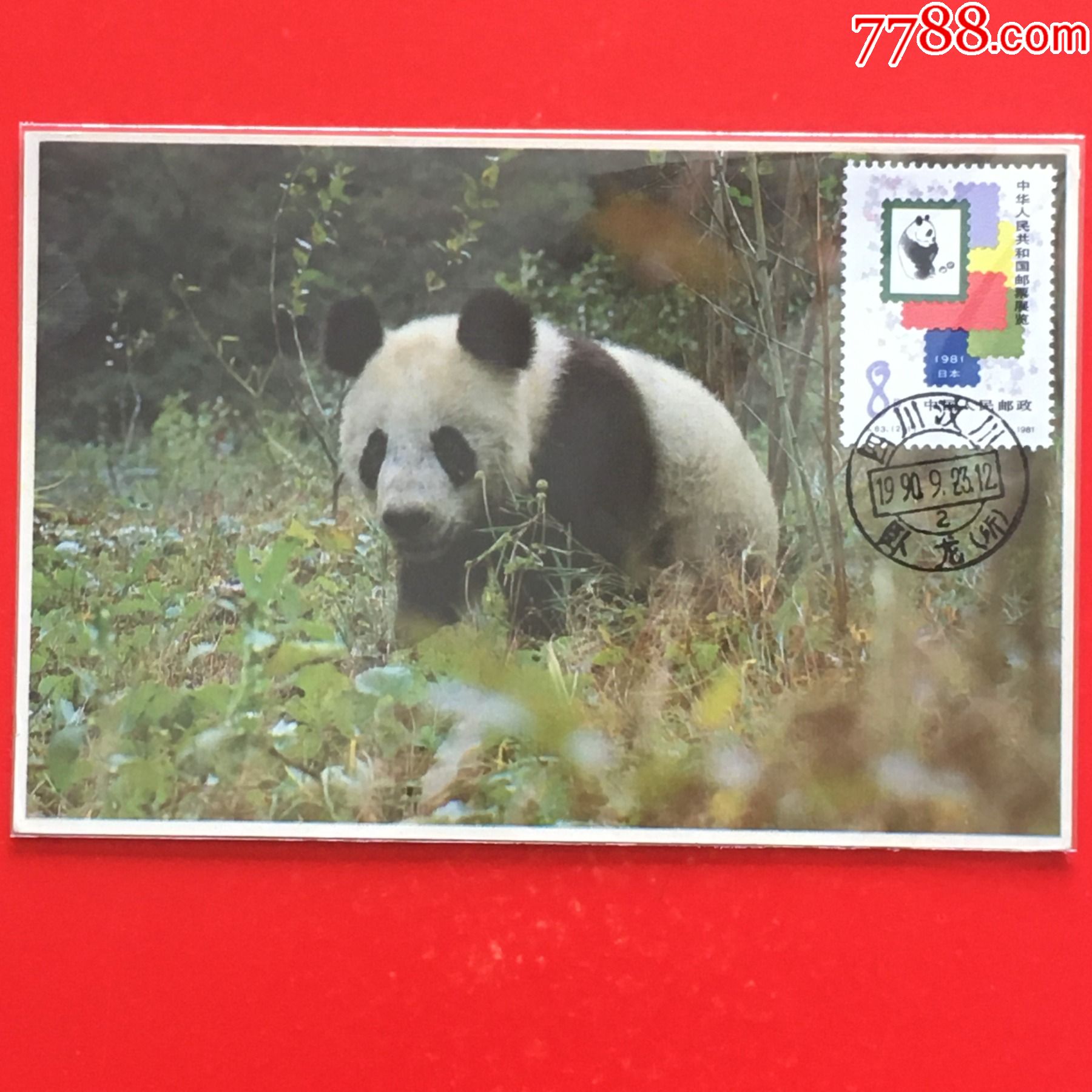 J63-1-熊猫极限片__【7788收藏__收藏热线】