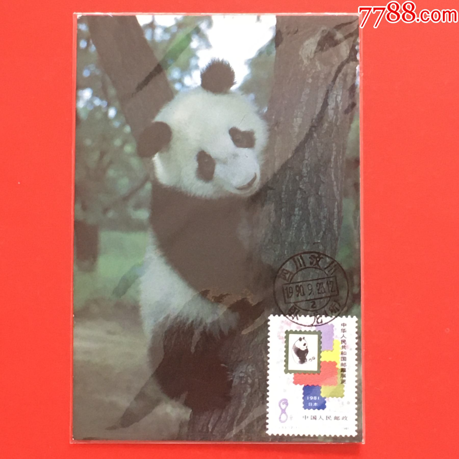 J63-1-熊猫极限片_普通明信片_封片特别全【7788收藏__收藏热线】
