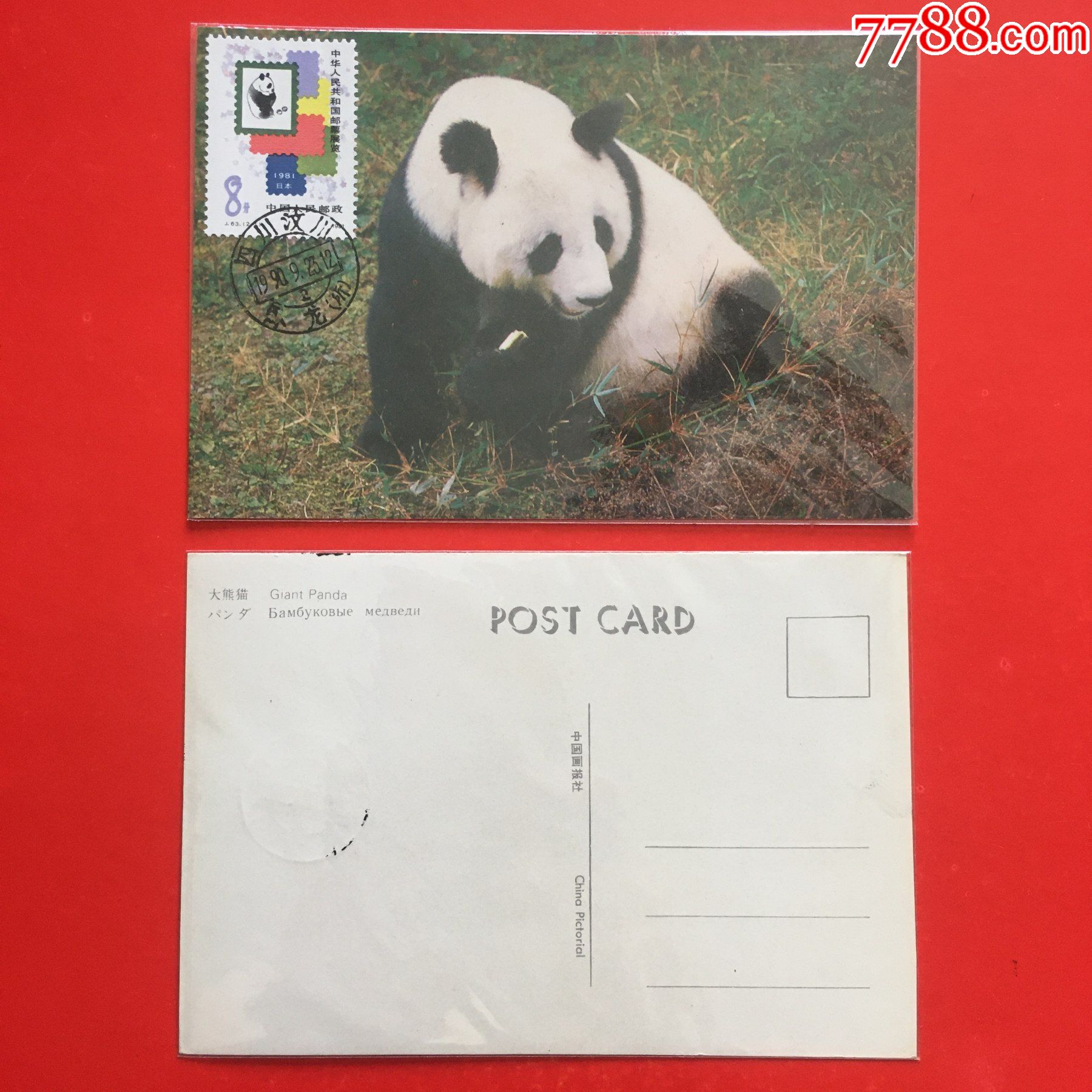 J63-1-熊猫极限片_普通明信片_封片特别全【7788收藏__收藏热线】