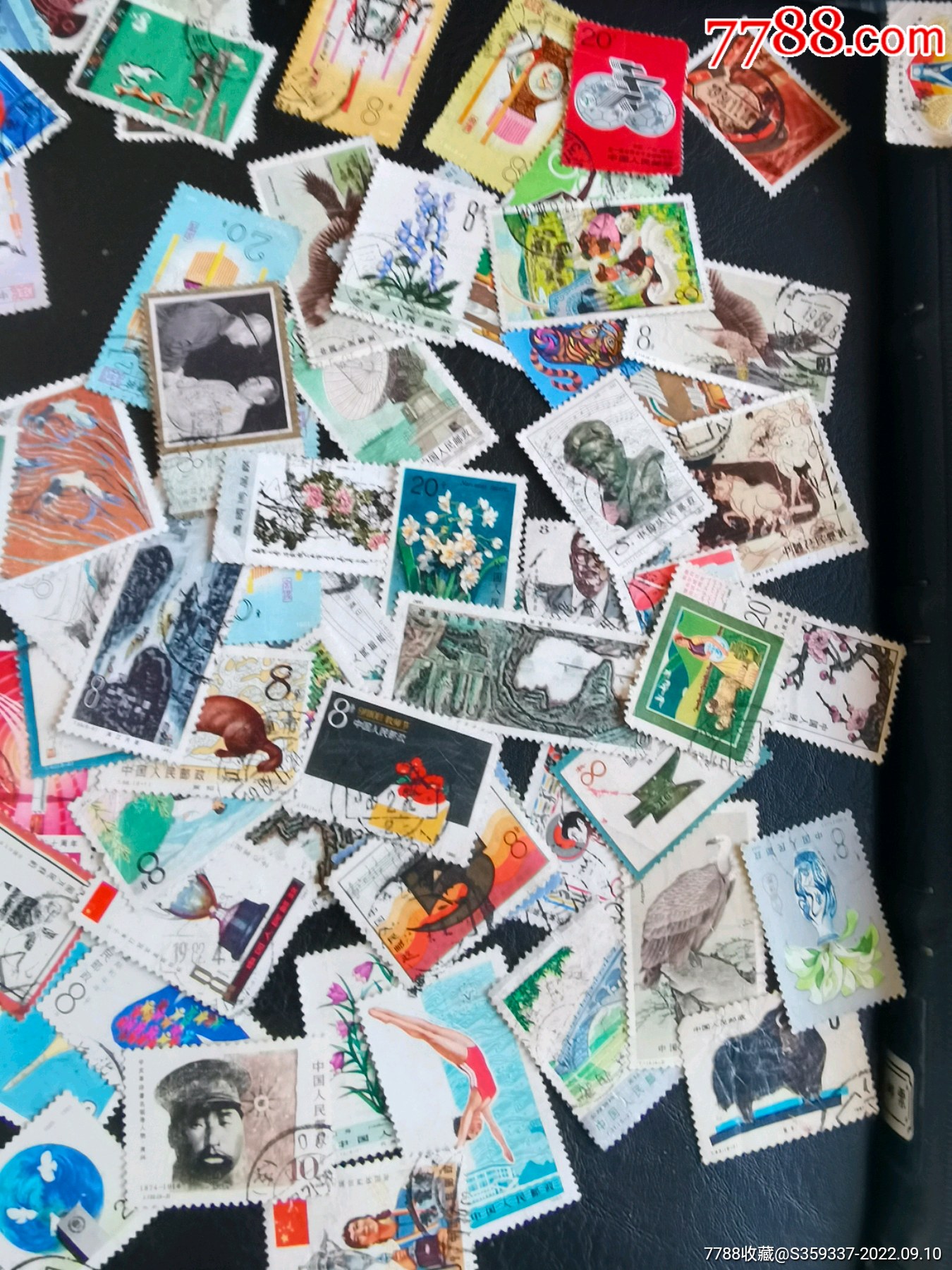 JT混票_“T”字邮票_方块大小【7788收藏__收藏热线】