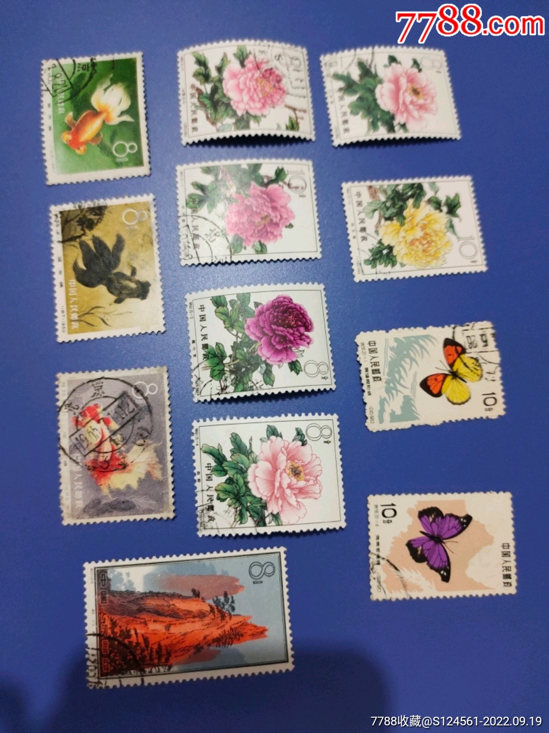 散杂票12张_“T”字邮票_百盛珍轩【7788收藏__收藏热线】