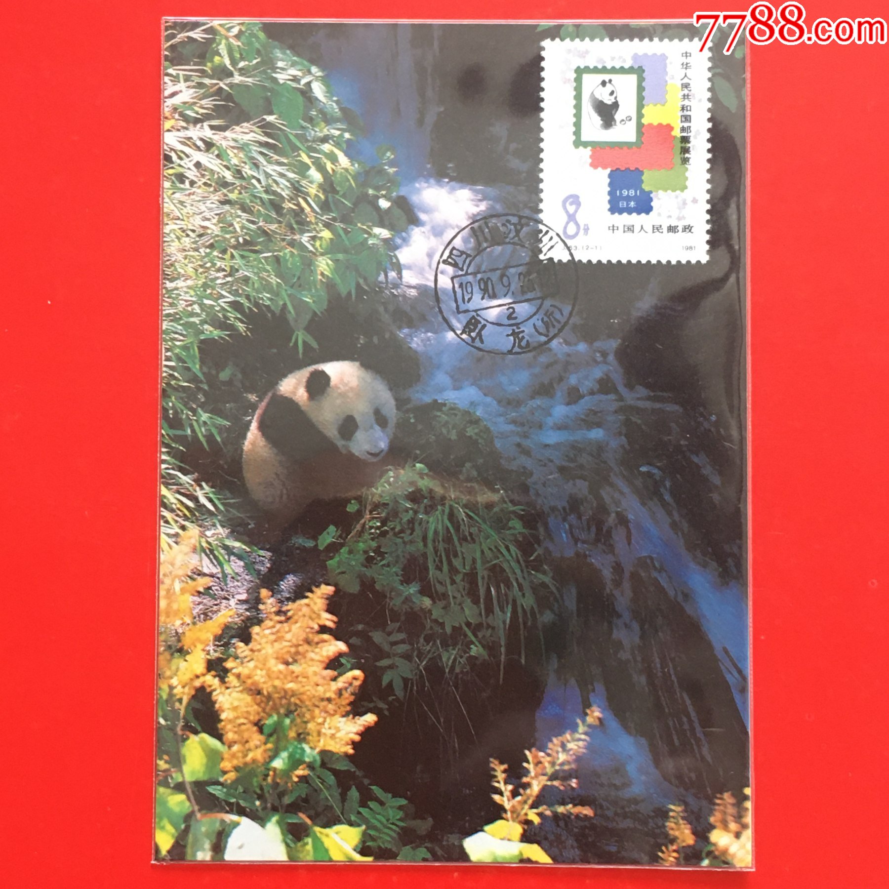J63-1-熊猫极限片_普通明信片_封片特别全【7788收藏__收藏热线】