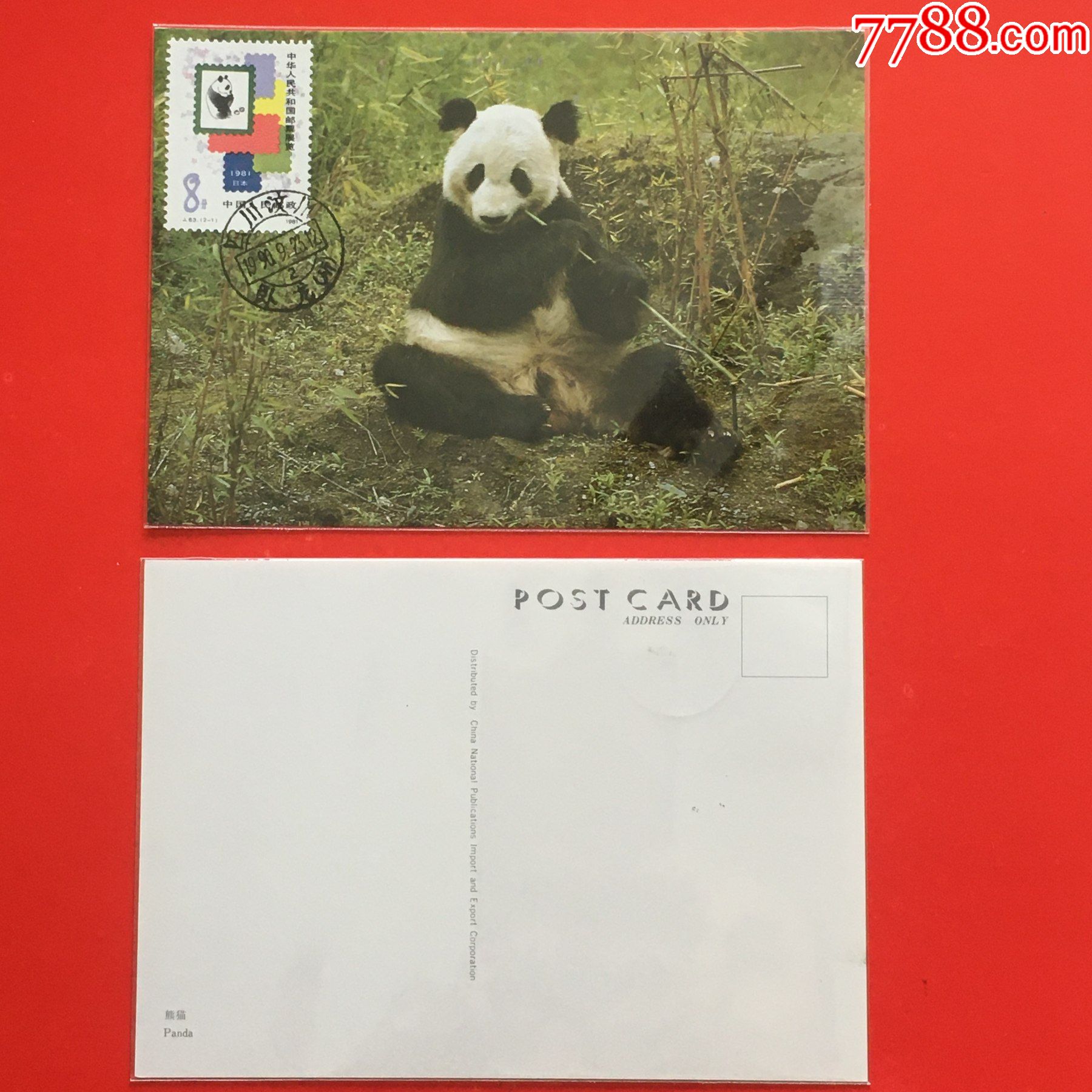 J63-1-熊猫极限片_普通明信片_封片特别全【7788收藏__收藏热线】