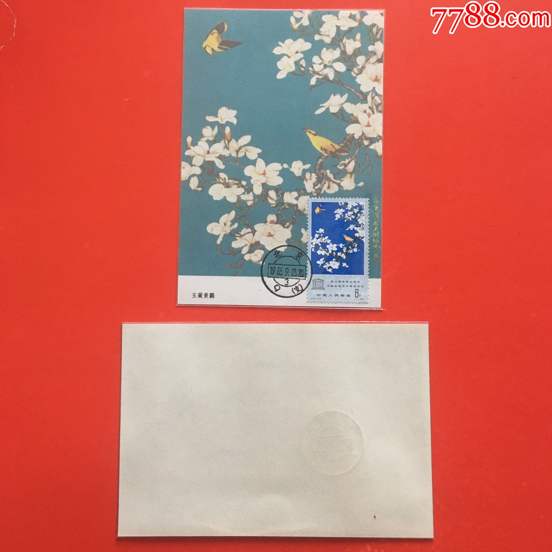 J60-2-玉兰号楼黄鹂图画极限片__【7788收藏__收藏热线】