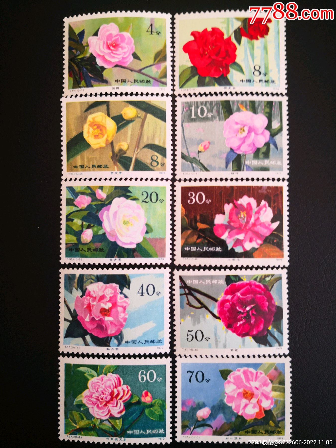 T37云南山茶花全套新票_“T”字邮票_鸿运钱币收藏【7788收藏__收藏热线】