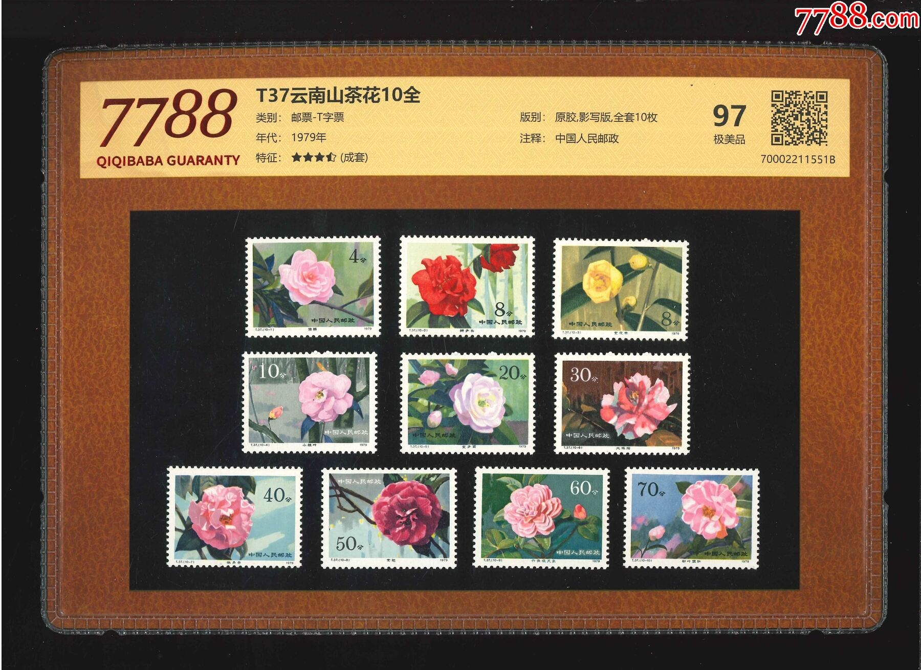 T37云南山茶花10全（7788评级97分、3.5星）__【7788收藏__收藏热线】