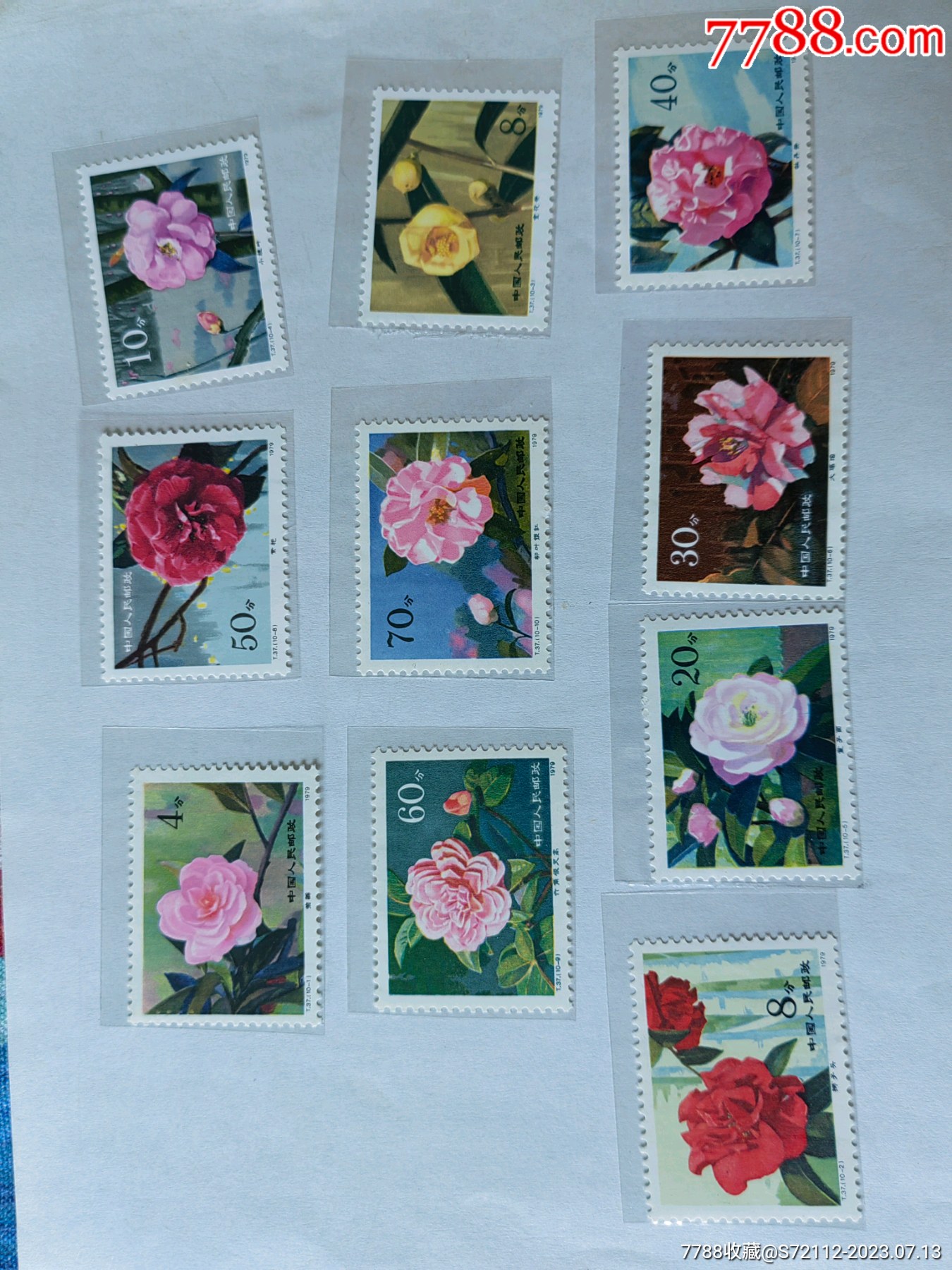 T37云南山茶花_“T”字邮票_眼一亮书店【7788收藏__收藏热线】