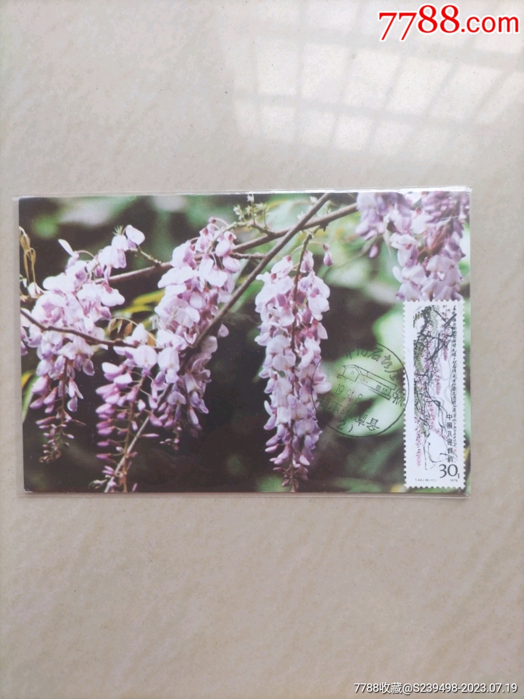 T44-30分齐白石作品选-藤萝邮票极限片__【7788收藏__收藏热线】