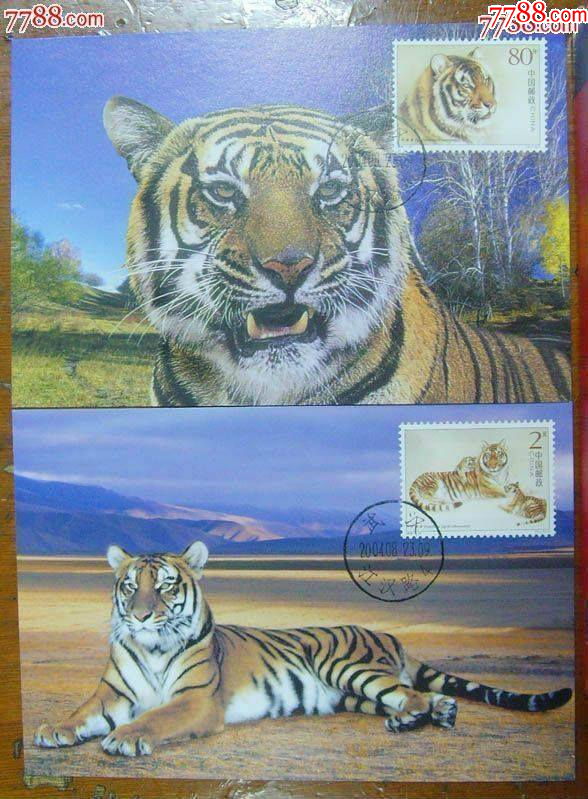 MC-61华南虎极限片__【7788收藏__收藏热线】