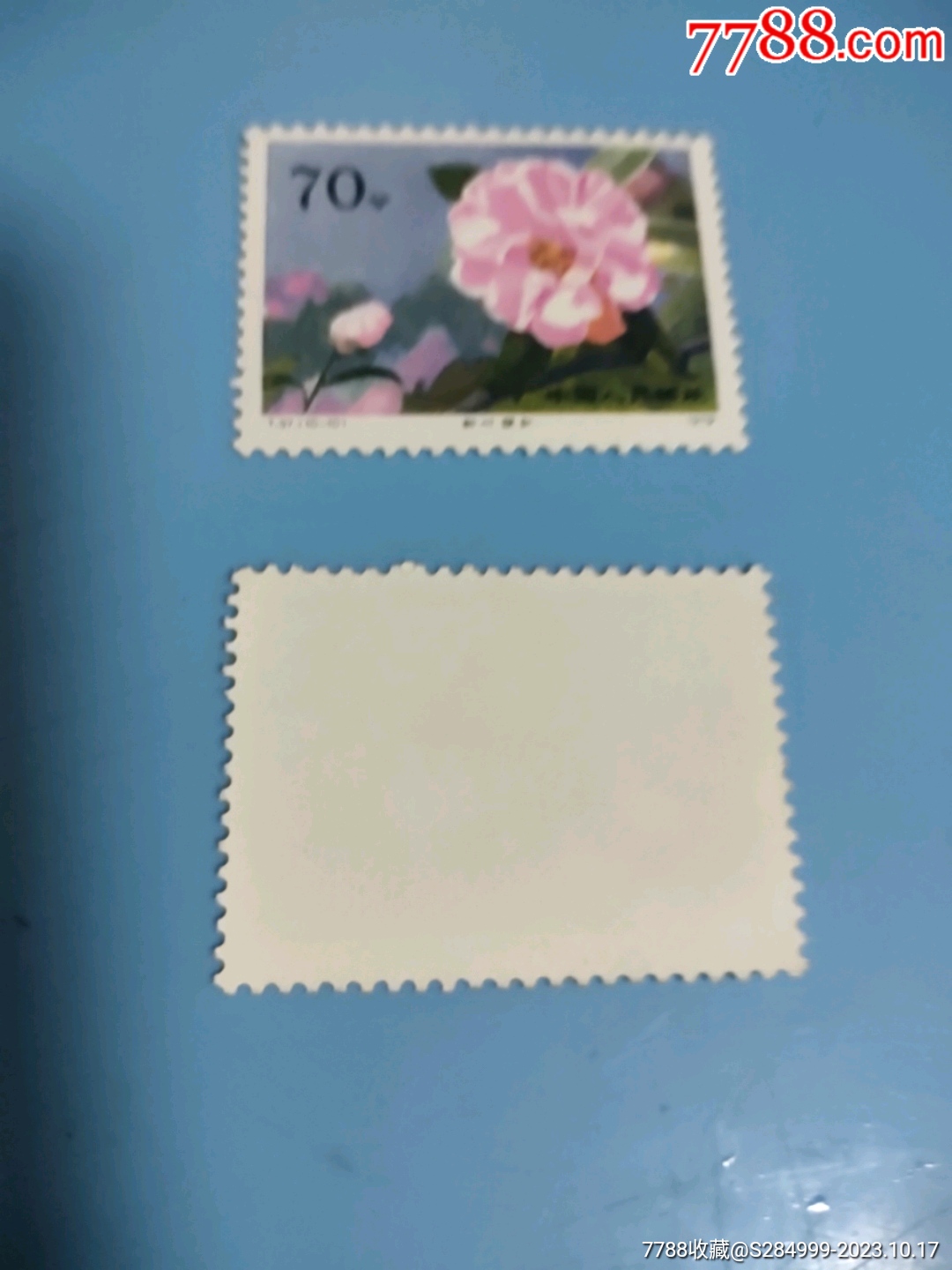 T37(10一10)《云南山茶花》单枚邮票__【7788收藏__收藏热线】