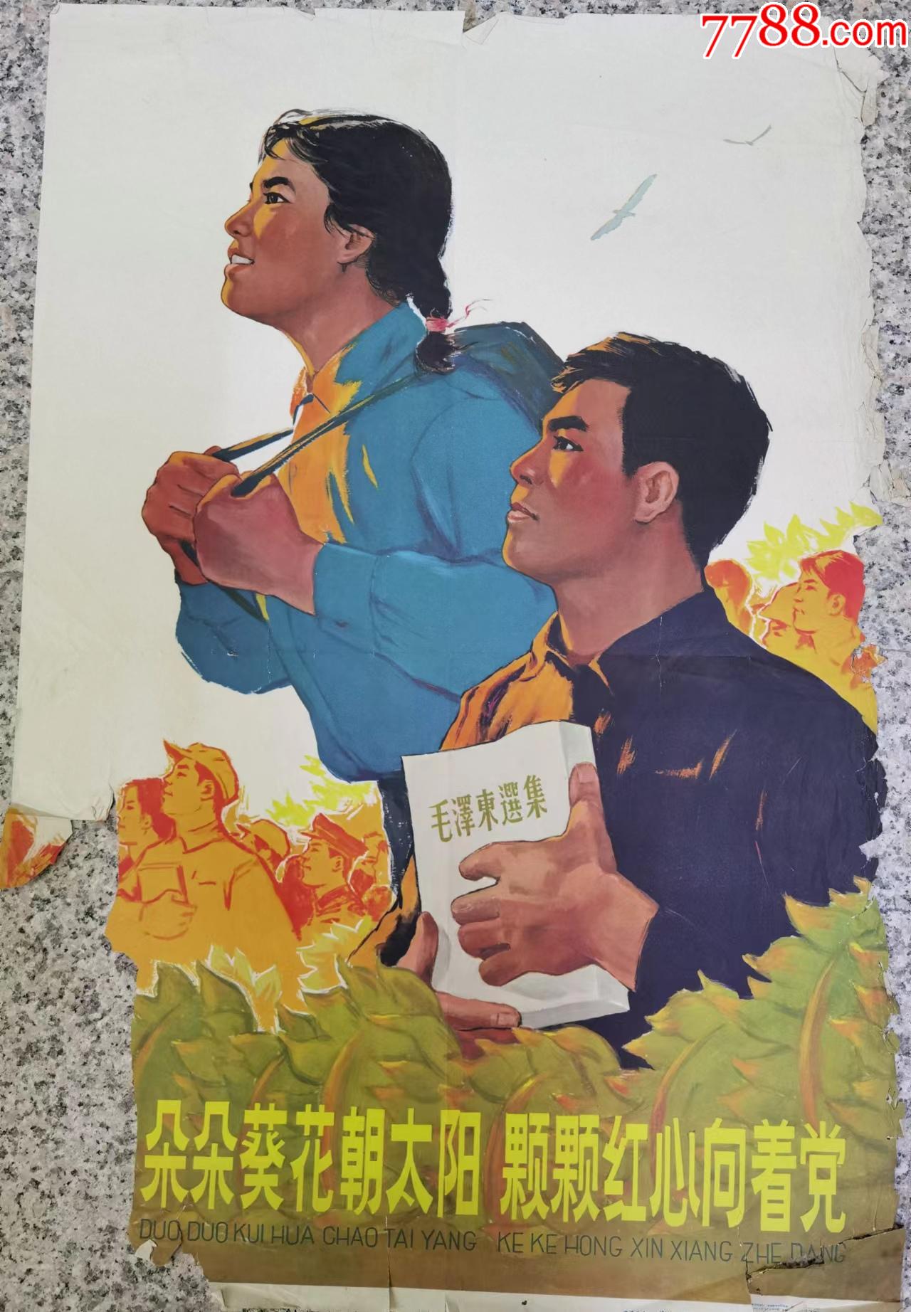 朵朵葵花朝太阳颗颗红心向着党=知青题材_沧桑起风情【7788商城__七七八八商品交易平台(7788.com)】