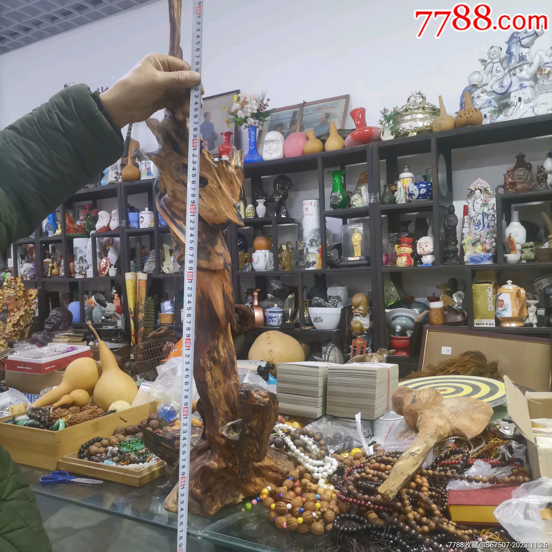 长白山，野生，双龙头__【7788收藏__收藏热线】