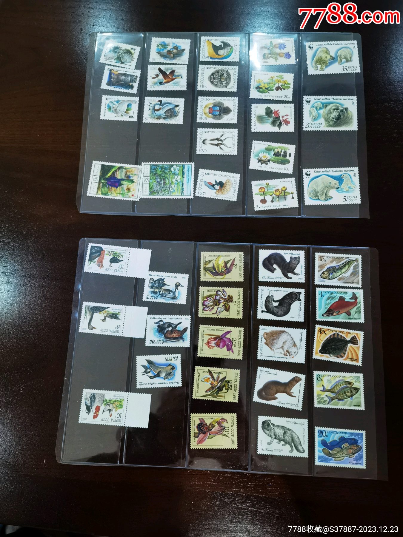 前苏联动物植物邮票十一套全。_欧洲邮票_最红色经典【7788收藏__收藏热线】