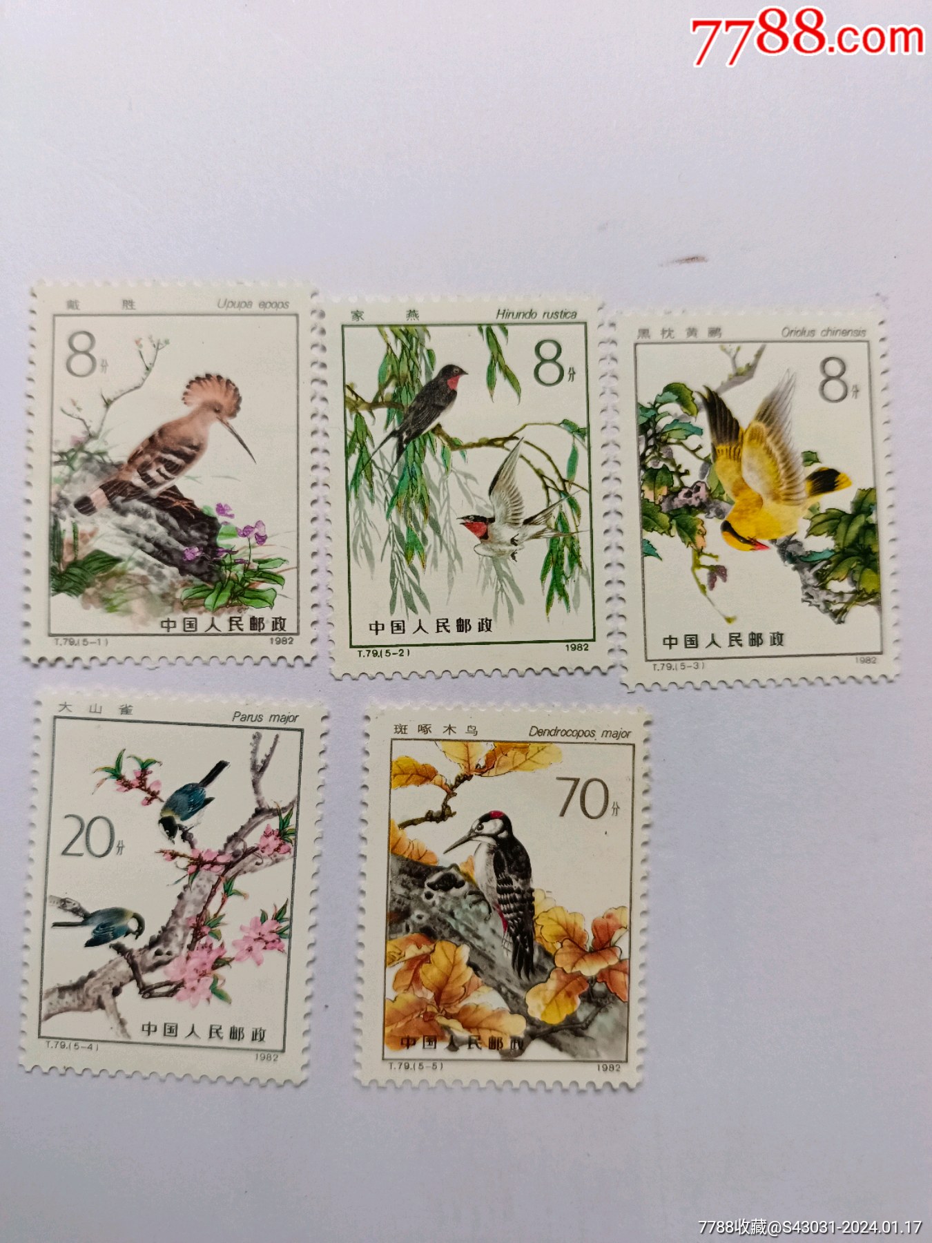 T79益鸟__【7788收藏__收藏热线】