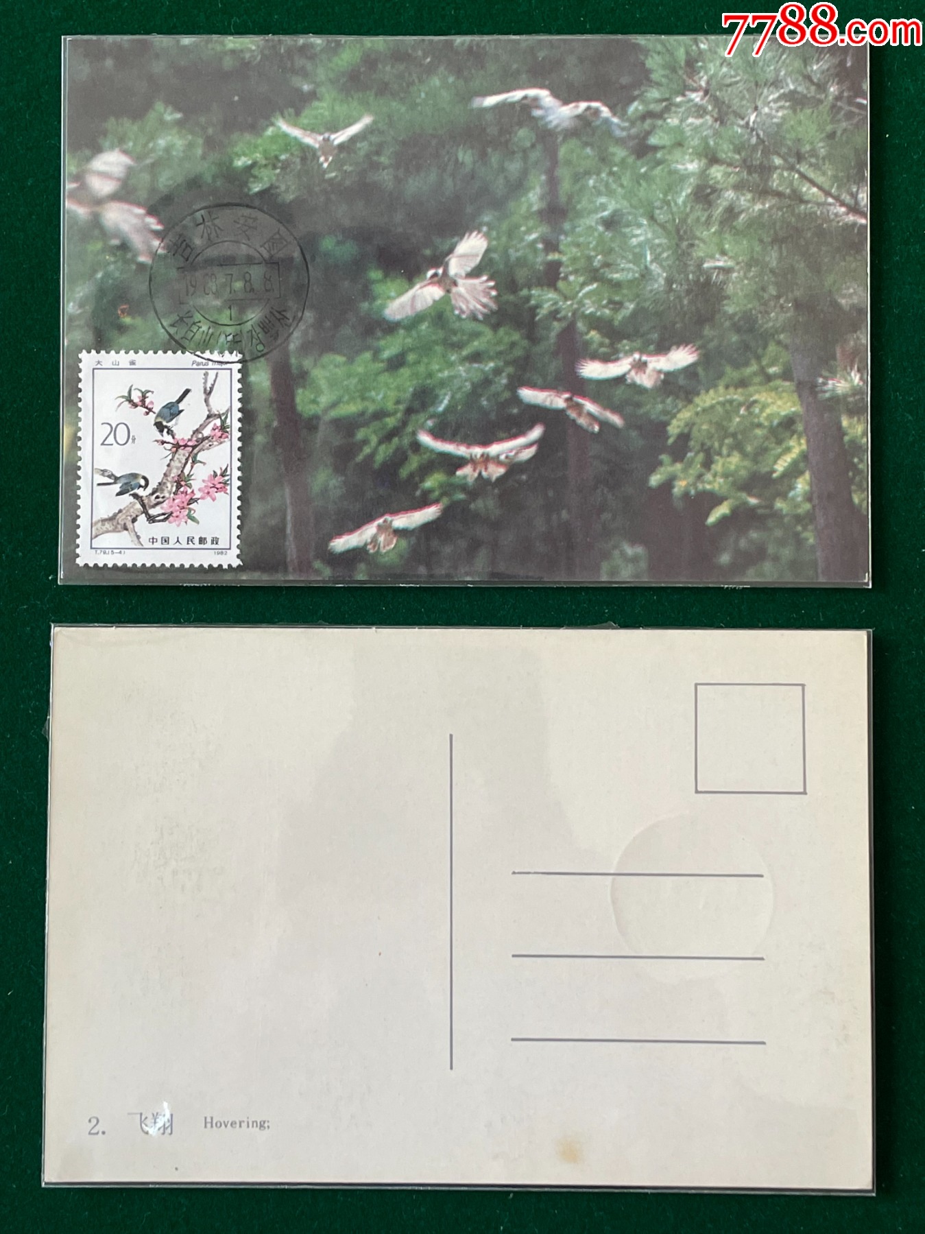 T79-4-大山雀极限片__【7788收藏__收藏热线】