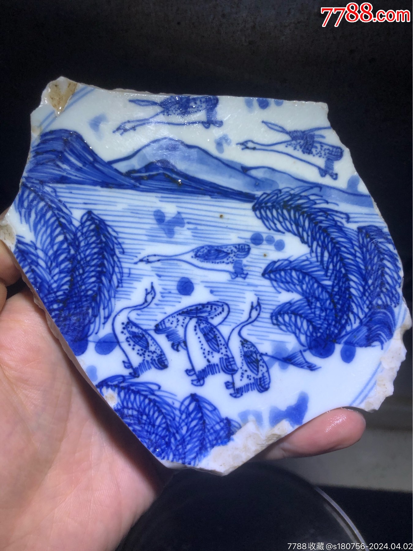 青花芦雁瓷片-价格:999元-au37309616-瓷片 -加价-7788收藏__收藏热线