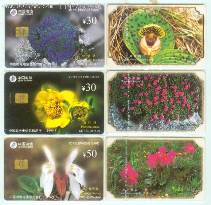 中国电信IC卡CNT-IC-29（4-1.2.4）珍稀植物JX同版换芯-价格:18元-se9540446-电话IC卡-零售-7788收藏__收藏热线